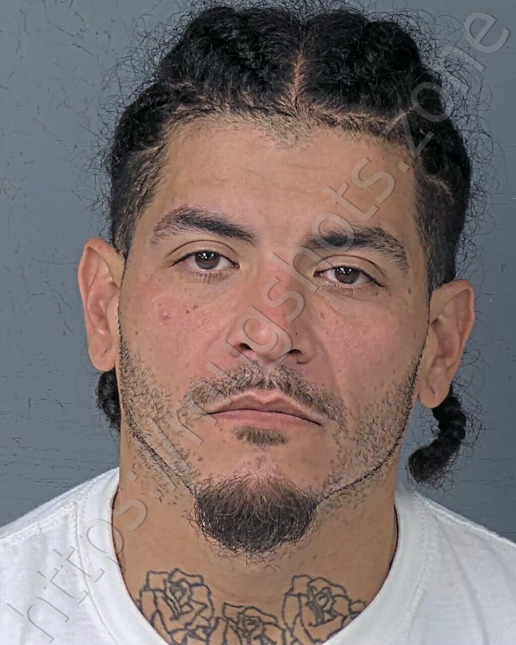 MONTANEZ JONATHAN JOSEPH 03/09/2026 - Hernando County Mugshots Zone