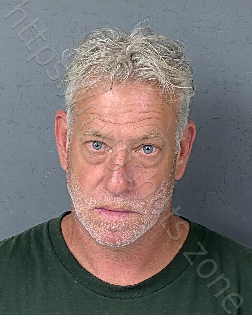 PARFITT DEAN ALLAN 03/17/2026 - Hernando County Mugshots Zone