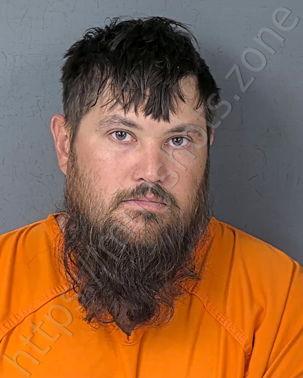 WESTFALL DANIEL JAMES 04/06/2026 - Hernando County Mugshots Zone