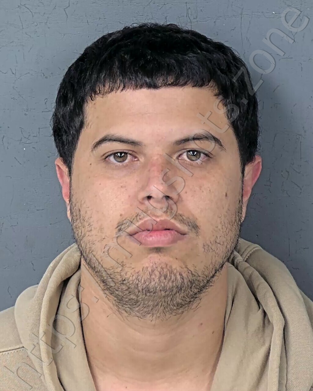 CORDOVES NIEVES YAHVE 04/16/2026 - Hernando County Mugshots Zone