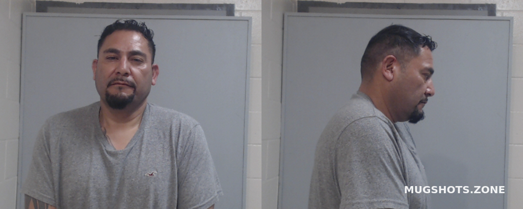 MEJIA EDWARD LEE 01/31/2021 - Hidalgo County Mugshots Zone