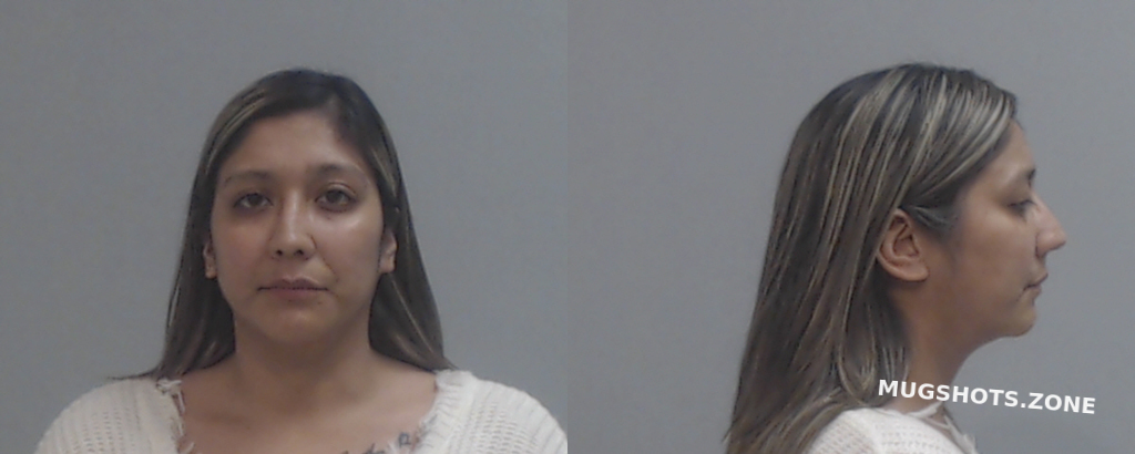 RENDON REBECCA HOGLUND 02/06/2021 - Hidalgo County Mugshots Zone