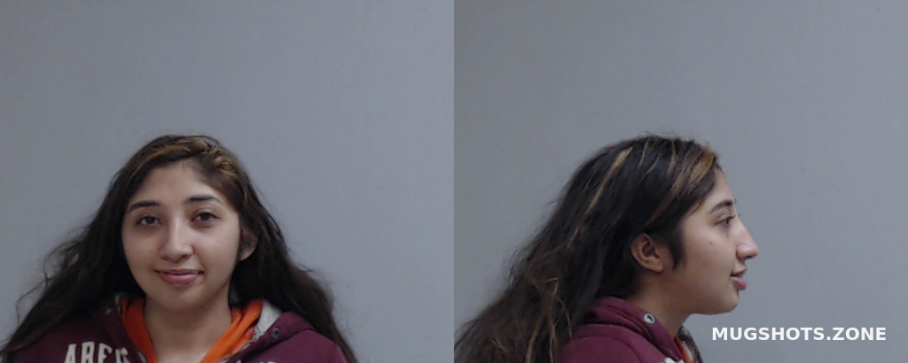 VILLA JULIANNA RENEE 02/16/2021 - Hidalgo County Mugshots Zone