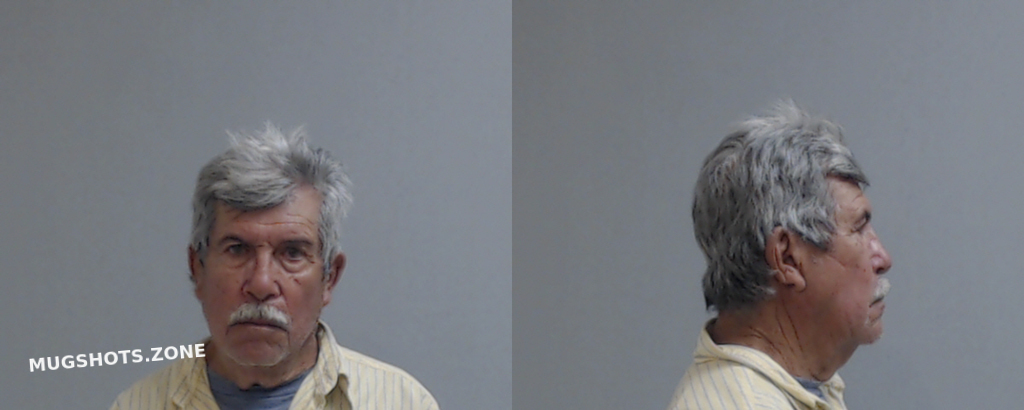 MENDIOLA HOMERO AYALA 02/21/2021 - Hidalgo County Mugshots Zone