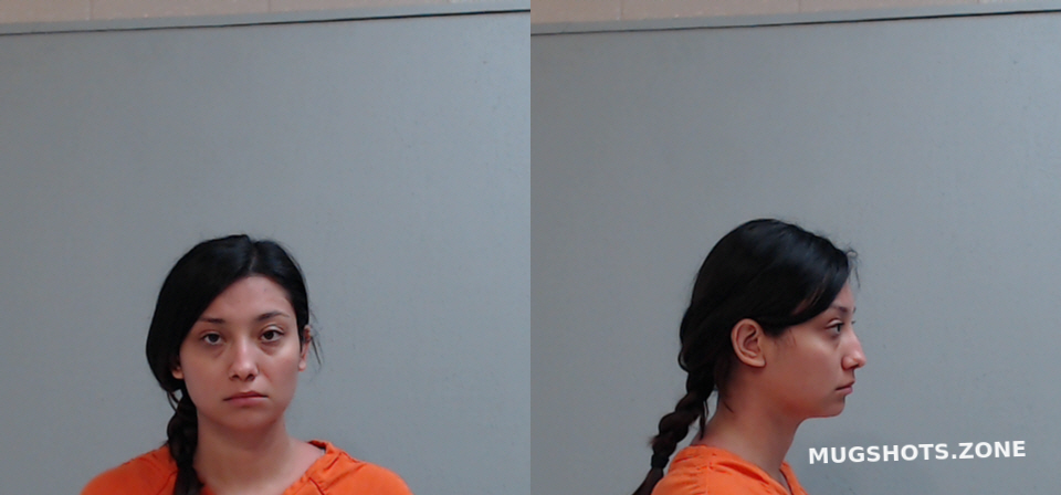 ROBLES YADIRA ALICIA 06/01/2021 - Hidalgo County Mugshots Zone