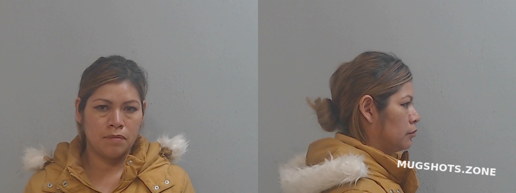 PEDRAZA ELIZABETH GALVAN 02/27/2022 - Hidalgo County Mugshots Zone