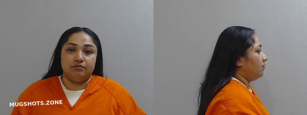 MONZON ELIZABETH ANNA 06/28/2022 - Hidalgo County Mugshots Zone