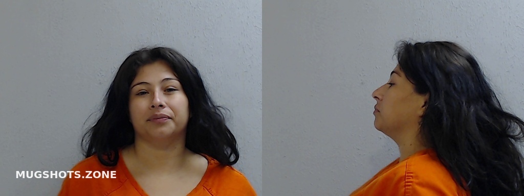 IBARRA CECILIA ALANIZ 08/01/2022 - Hidalgo County Mugshots Zone