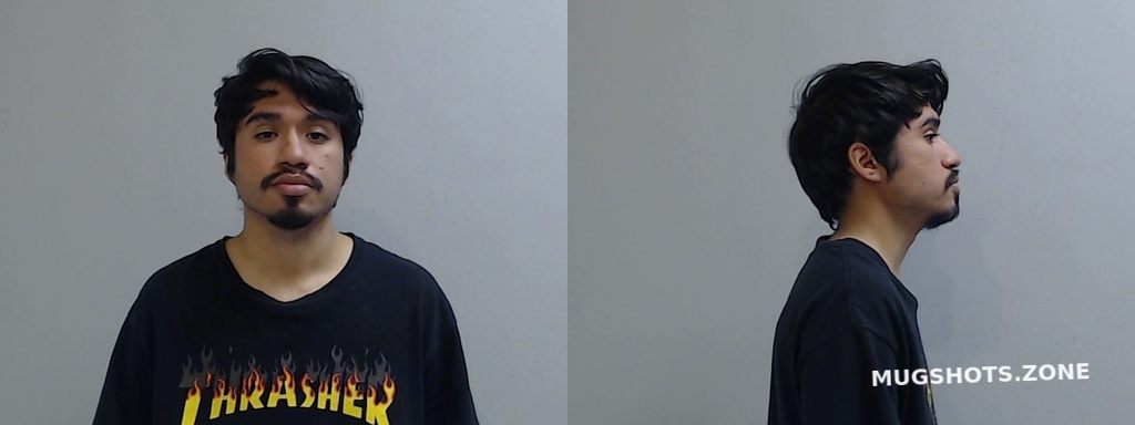 CASTILLO HECTOR 11/01/2022 - Hidalgo County Mugshots Zone