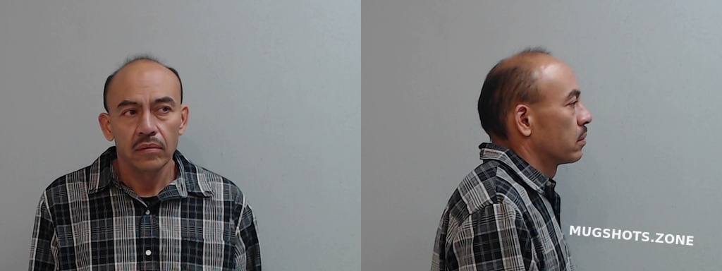 GALLARDO ROEL ARMIJO 11/01/2022 - Hidalgo County Mugshots Zone