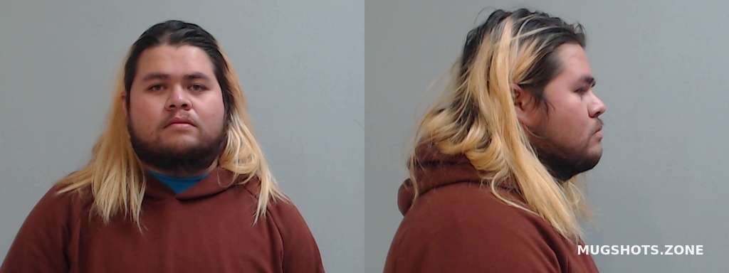 DELATORRE DAVID 11/17/2022 - Hidalgo County Mugshots Zone