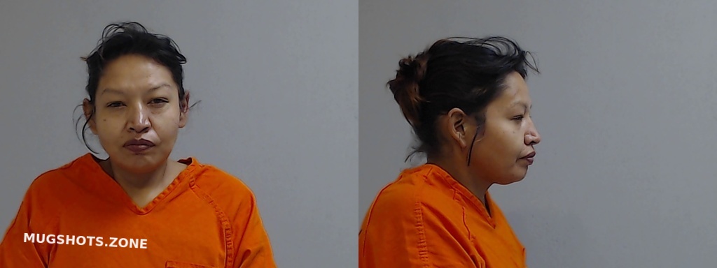 DULLKNIFE DANIELLE LYNN 01/29/2023 - Hidalgo County Mugshots Zone