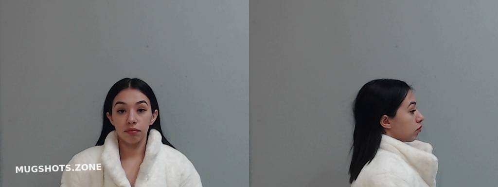 DAVILA JESSICA IVETTE 02/12/2023 - Hidalgo County Mugshots Zone