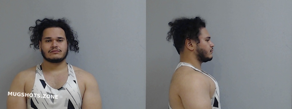 CASTILLO JESUS JERSON 03/25/2023 - Hidalgo County Mugshots Zone