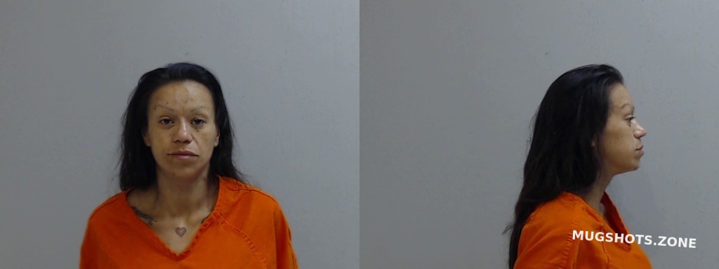 CHAPA JANIE LEE 04/13/2023 - Hidalgo County Mugshots Zone