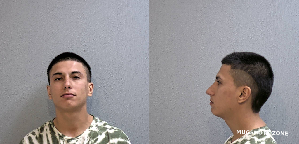 ALANIZ JESUS MARIA 05/04/2023 - Hidalgo County Mugshots Zone