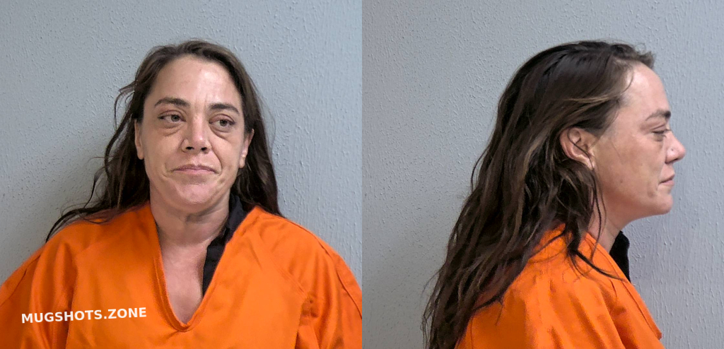 OCHSENFELD LISA CHERIE 09/11/2023 - Hidalgo County Mugshots Zone