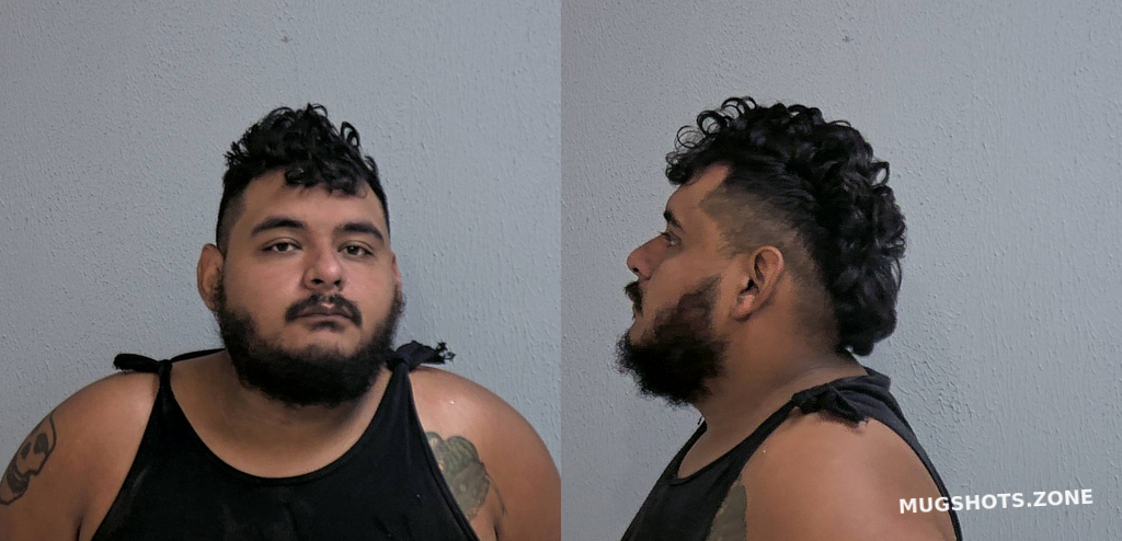 MEJIA DAVID 10/06/2023 - Hidalgo County Mugshots Zone