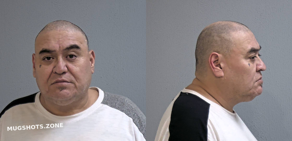 ALANIZ DAVID 10/08/2023 - Hidalgo County Mugshots Zone