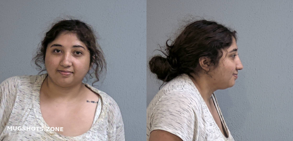 VILLA JULIANNA RENEE 10/21/2023 - Hidalgo County Mugshots Zone