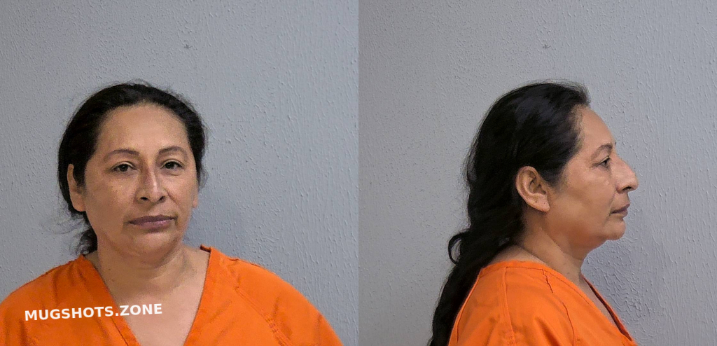 ARGUELLES MIREYA 10/27/2023 - Hidalgo County Mugshots Zone