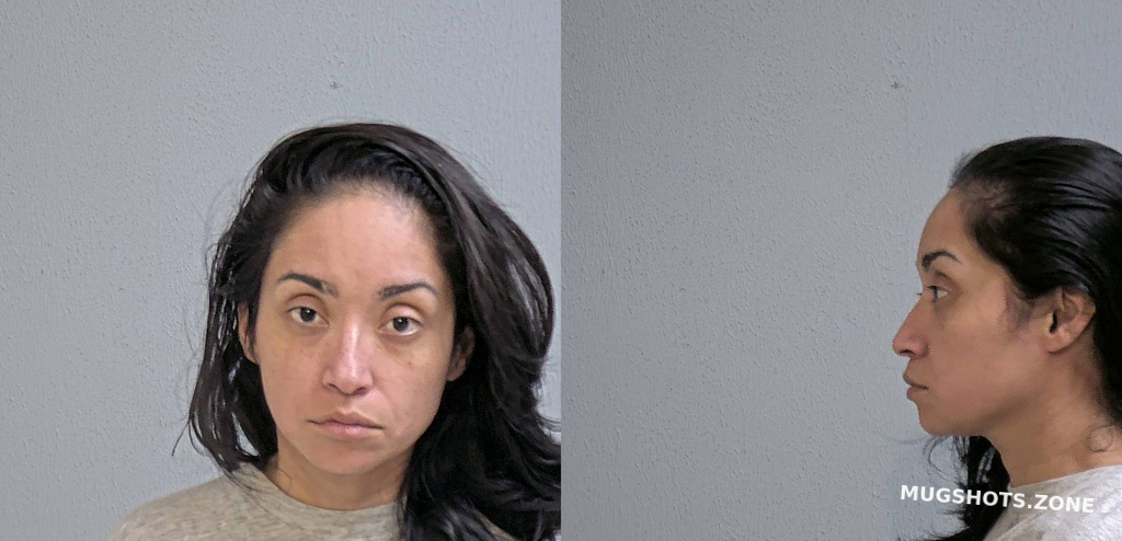 HERNANDEZ KAREMBLY MICHELLE 10/28/2023 - Hidalgo County Mugshots Zone