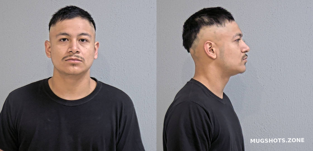 AWAN SHAN 10/29/2023 - Hidalgo County Mugshots Zone