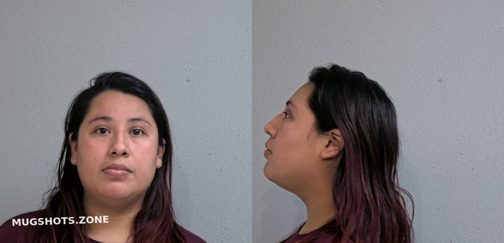 CASTILLO APRIL LYSETTE 11/01/2023 - Hidalgo County Mugshots Zone