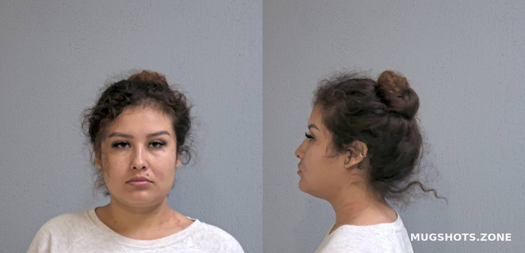 LANDEROS ELIBETH 11/11/2023 - Hidalgo County Mugshots Zone