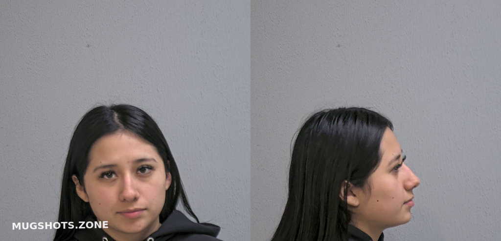 VILLARREAL APRIL ELAINE 11/15/2023 - Hidalgo County Mugshots Zone