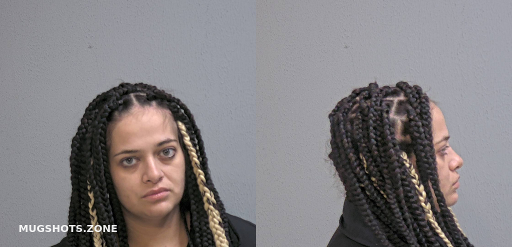 TORRES ARIEL 11/15/2023 - Hidalgo County Mugshots Zone