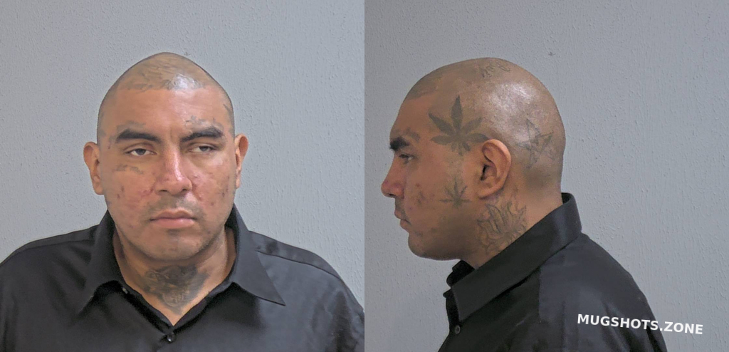 Gonzalez Erik Mendez 11202023 Hidalgo County Mugshots Zone