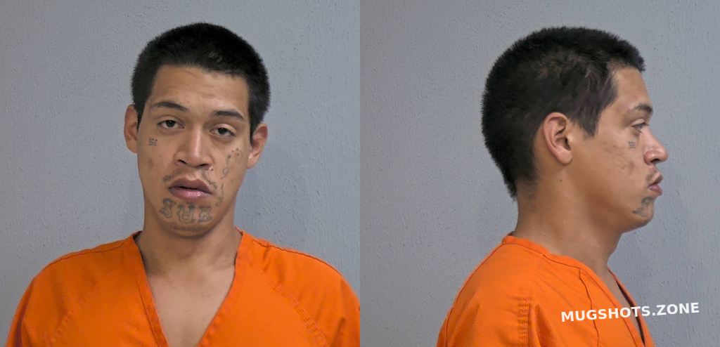 ALANIZ IRVINK SAUL 11/23/2023 - Hidalgo County Mugshots Zone