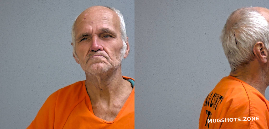 DAVIDSON DANNY WILSON 12/19/2023 - Hidalgo County Mugshots Zone