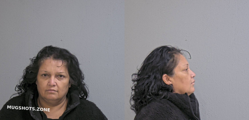 ALANIZ LEONORILDA 12/28/2023 - Hidalgo County Mugshots Zone