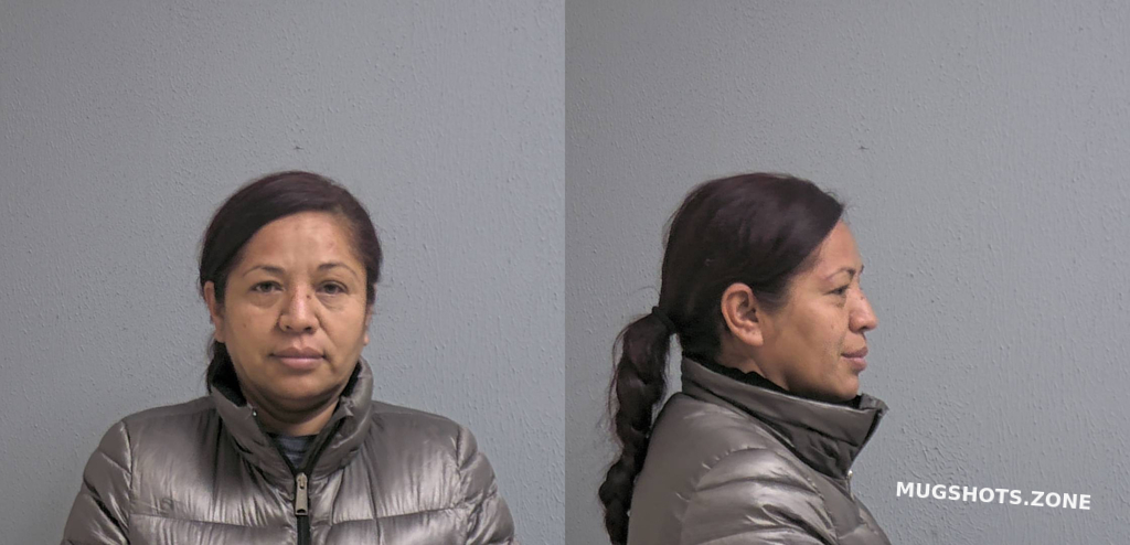 OBREGON EDITH BERMUDEZ 01/03/2024 - Hidalgo County Mugshots Zone
