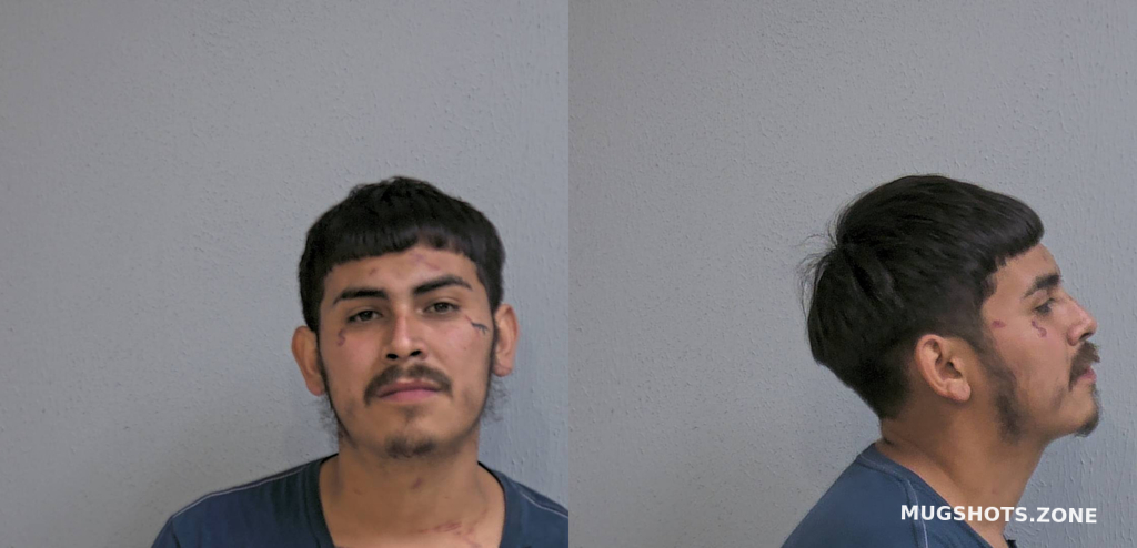 PALOMARES NELSON JR 01/27/2024 - Hidalgo County Mugshots Zone