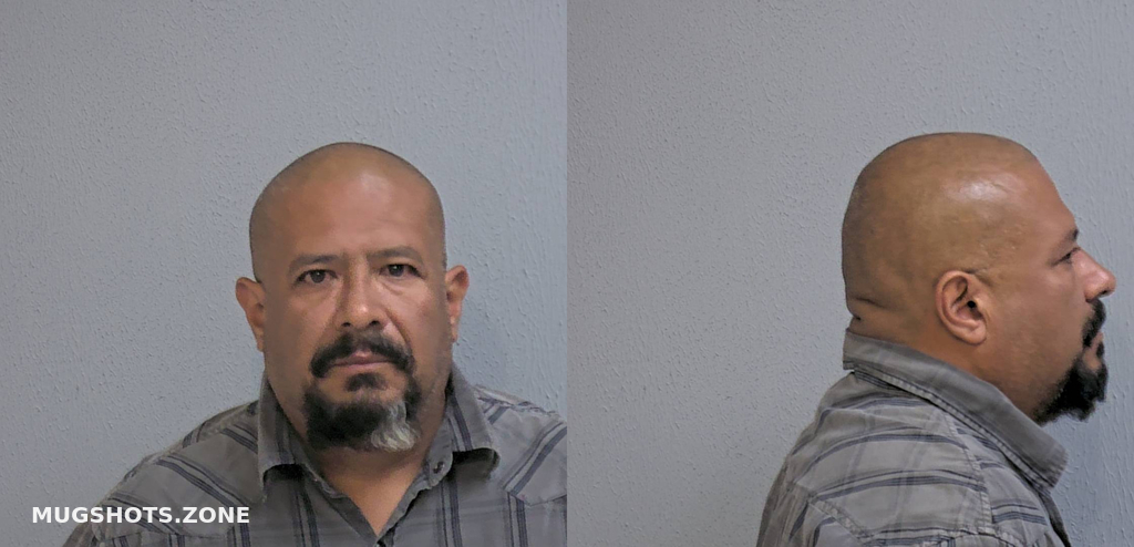 PERALEZ DANIEL 02/09/2024 - Hidalgo County Mugshots Zone