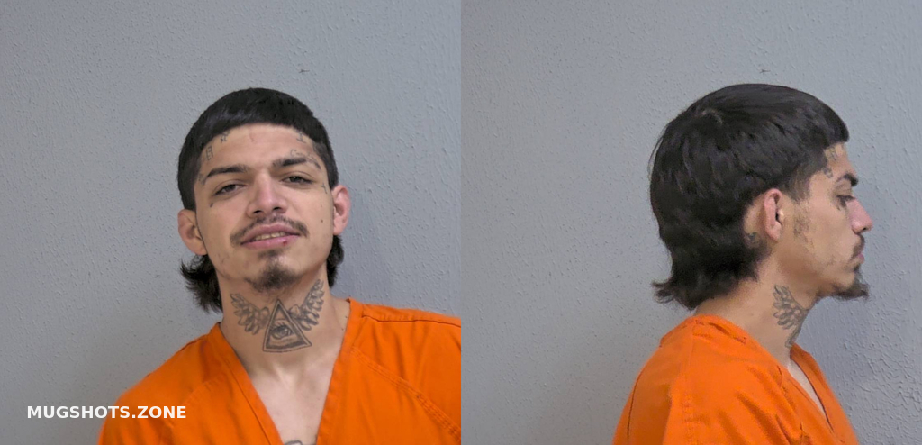 CHANEY SETH IAN 02/09/2024 - Hidalgo County Mugshots Zone