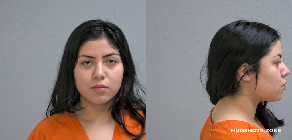 JAUREGUI ALISSA 02/14/2024 - Hidalgo County Mugshots Zone