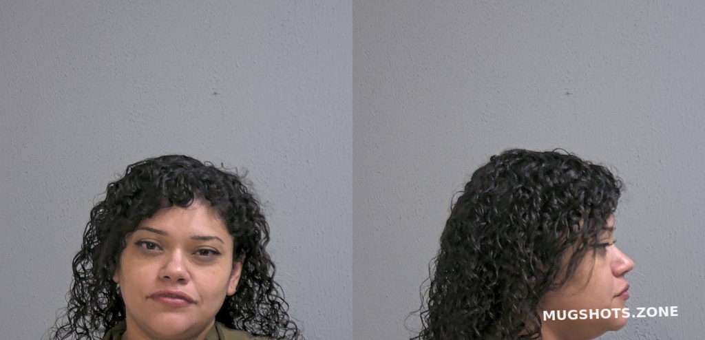 BRAVO MARIA ISABEL 02/20/2024 - Hidalgo County Mugshots Zone