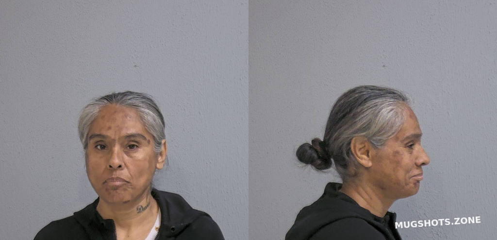 ROCHA ALMA BRISENO 02/24/2024 - Hidalgo County Mugshots Zone