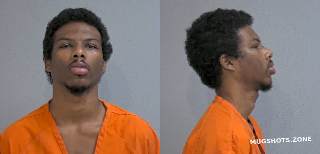 WILSON JAVON TYREE 02/26/2024 - Hidalgo County Mugshots Zone WILSON JAVON TYREE 02/26/2024 - Hidalgo County Mugshots Zone