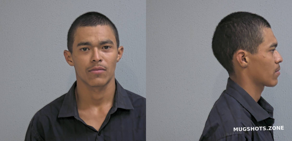 ALCALA ALEX 03/11/2024 - Hidalgo County Mugshots Zone