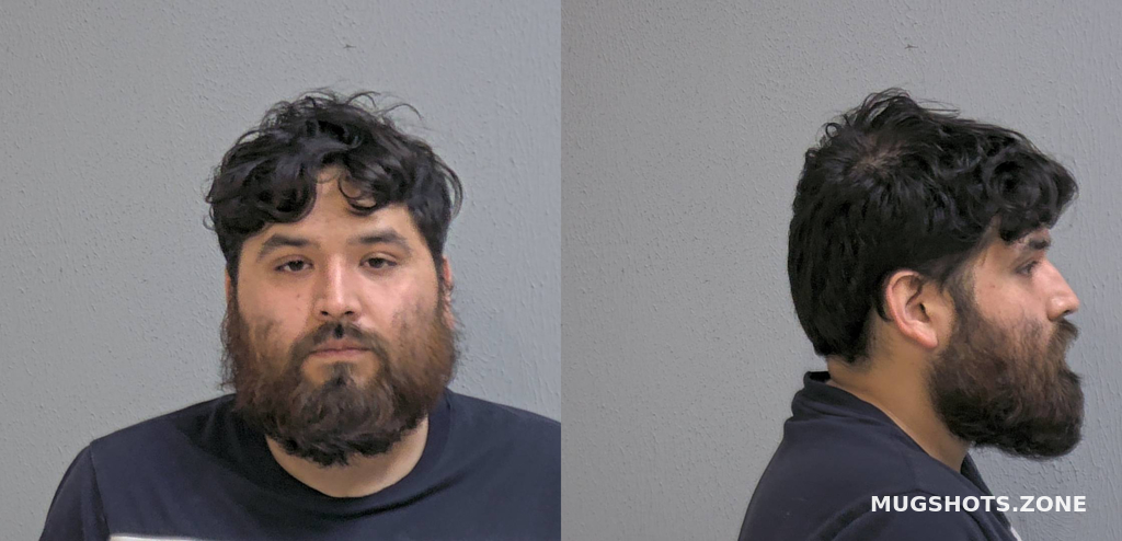 DE ANDA ANLEY ISAIAH 03/12/2024 - Hidalgo County Mugshots Zone