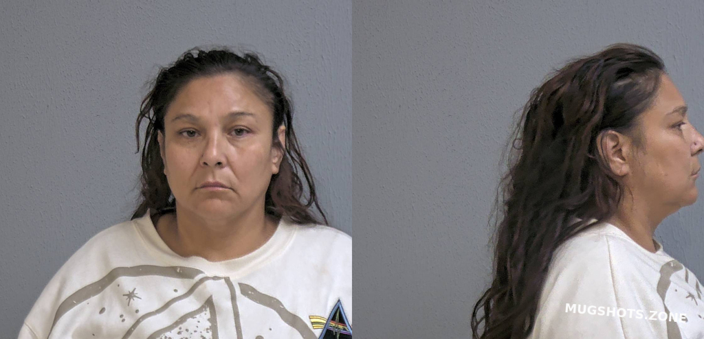 CARDENAS BRENDA 03/20/2024 - Hidalgo County Mugshots Zone