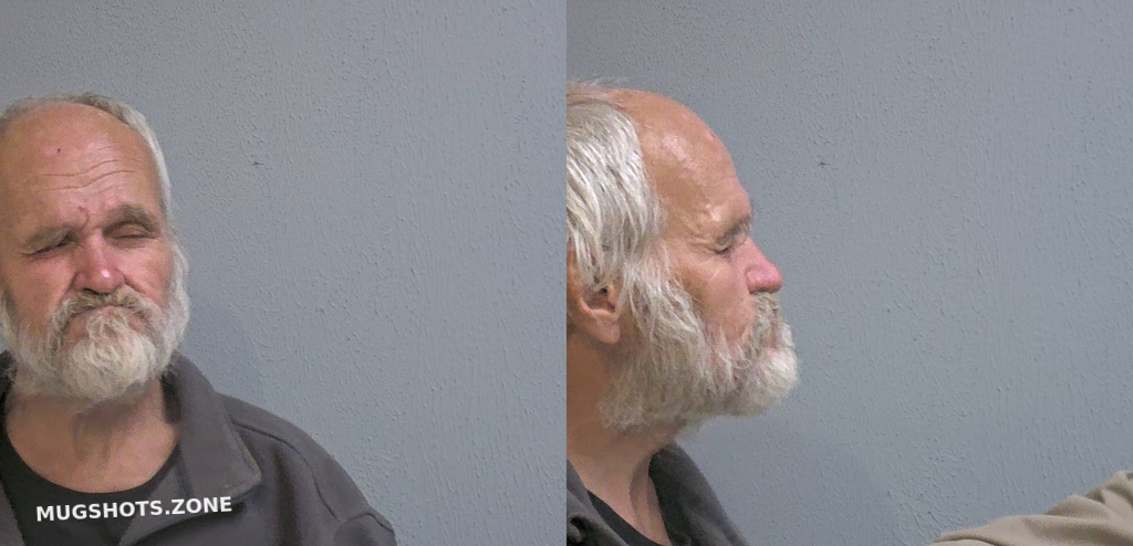 DAVIDSON DANNY WILSON 03/28/2024 - Hidalgo County Mugshots Zone