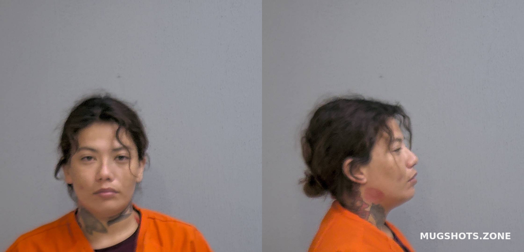 ALEMAN ELSA MENA 04/06/2024 - Hidalgo County Mugshots Zone