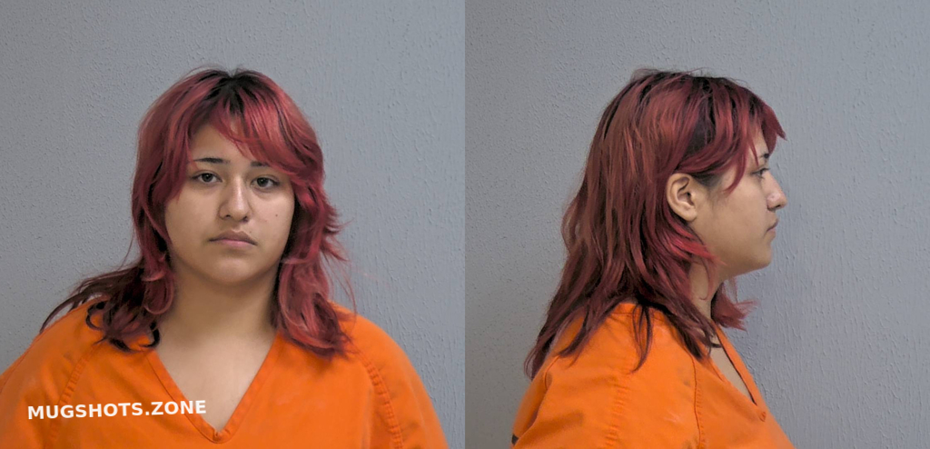 PRIOR KARLA ISABELLE 04/16/2024 - Hidalgo County Mugshots Zone