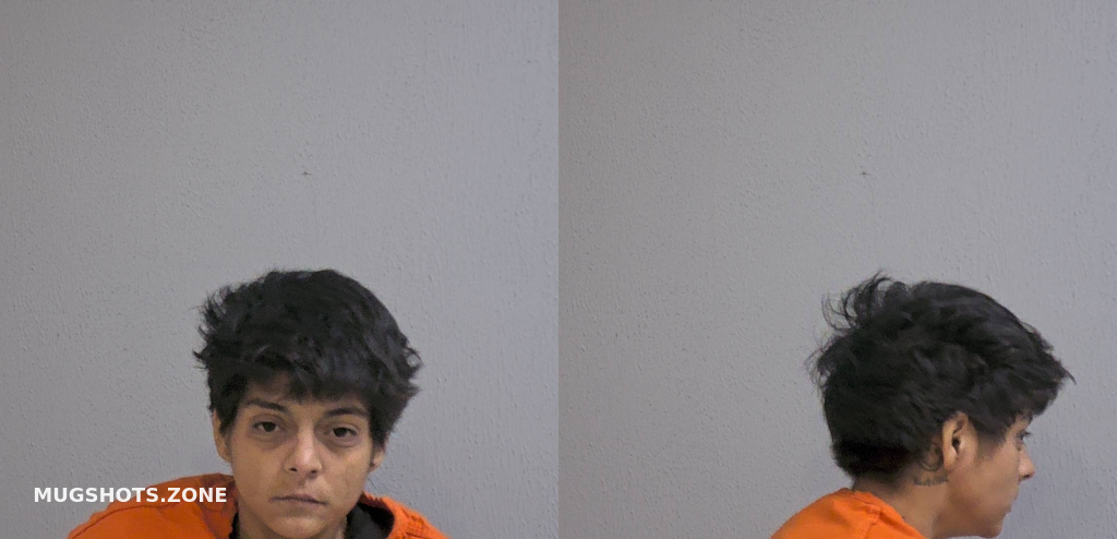 GARCES MICHELLE ALEXIS 04/23/2024 - Hidalgo County Mugshots Zone